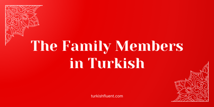 The Family Members in Turkish - TurkishFluent | Blog