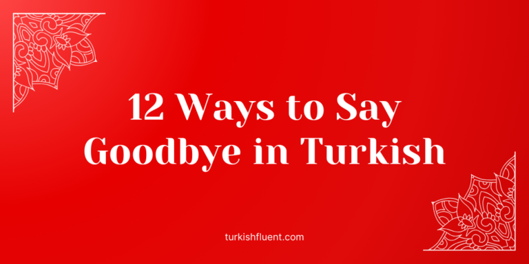 12 Ways to Say Goodbye in Turkish - TurkishFluent | Blog