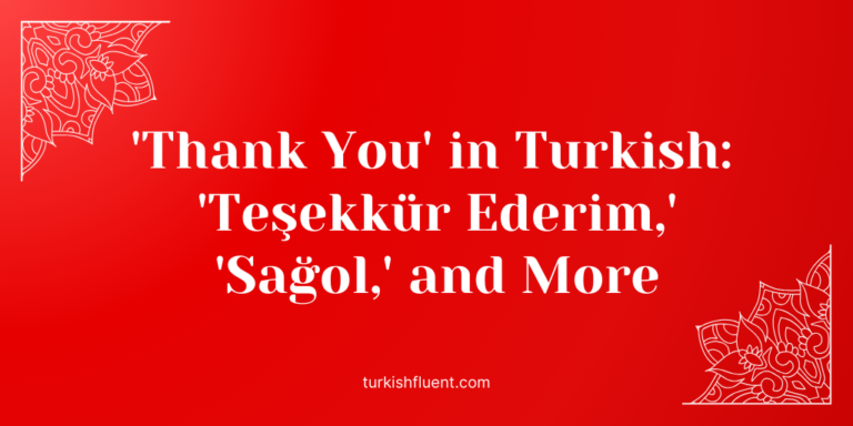 'Thank You' in Turkish: 'Teşekkür Ederim,' 'Sağol,' and More